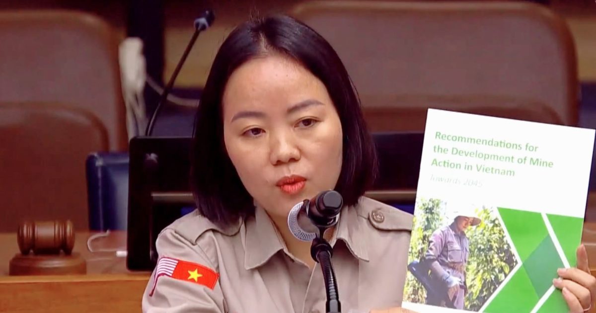 Norwegian People's Aid | NPA Vietnam staff speak at the UNMAS's…